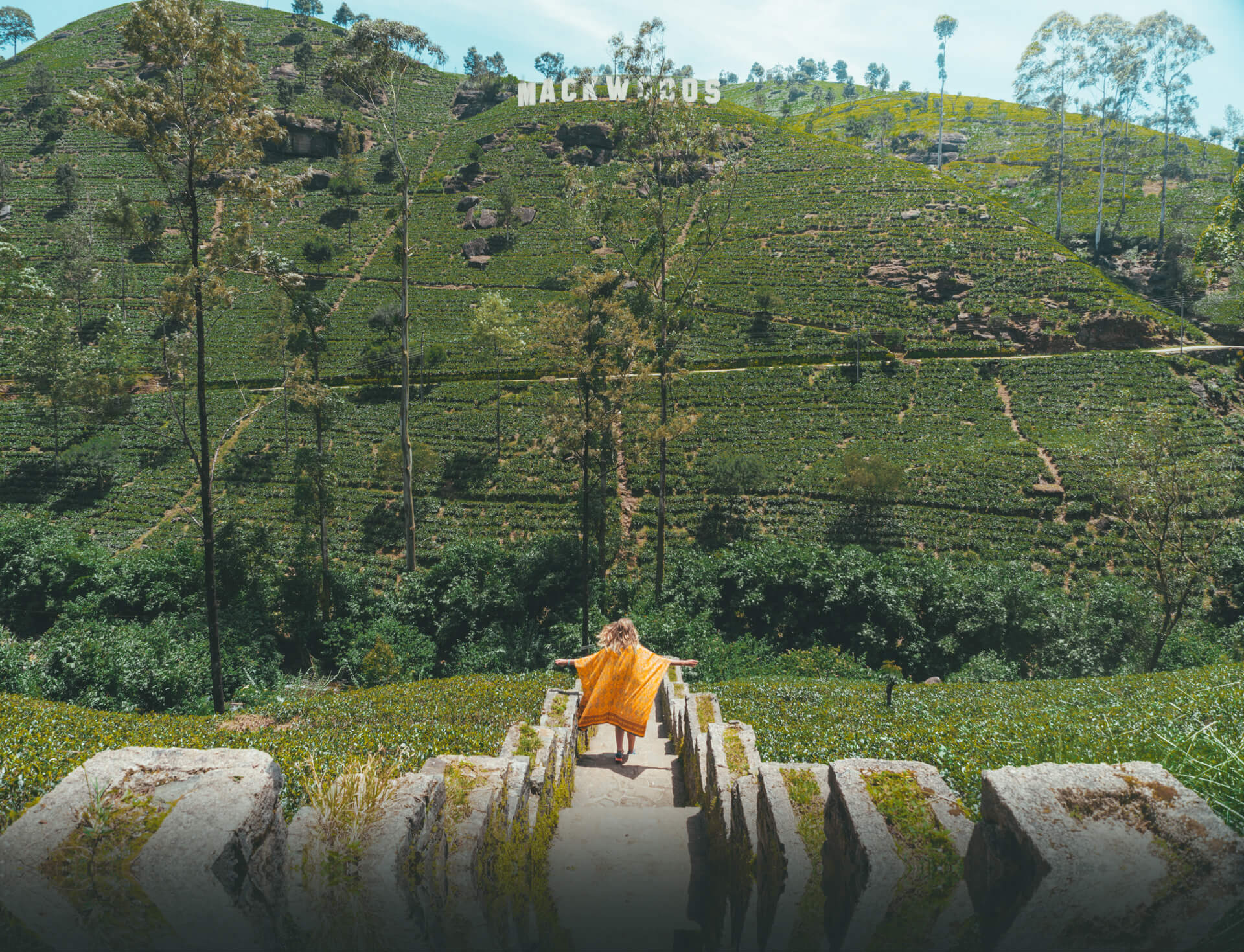 NUWARA ELIYA | Explore Tea Plantations of Nuwara Eliya, Sri Lanka
