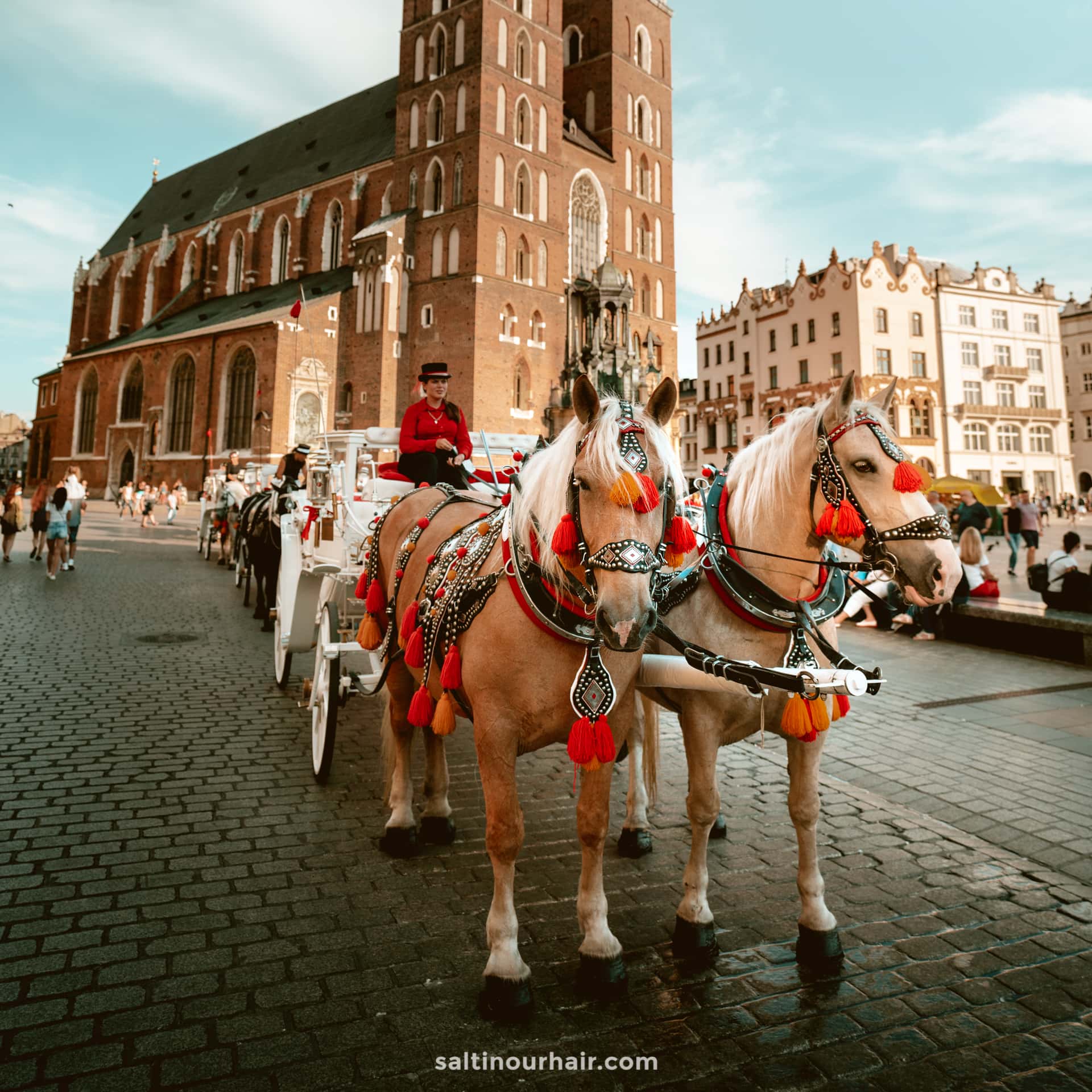 Poland Travel Guide